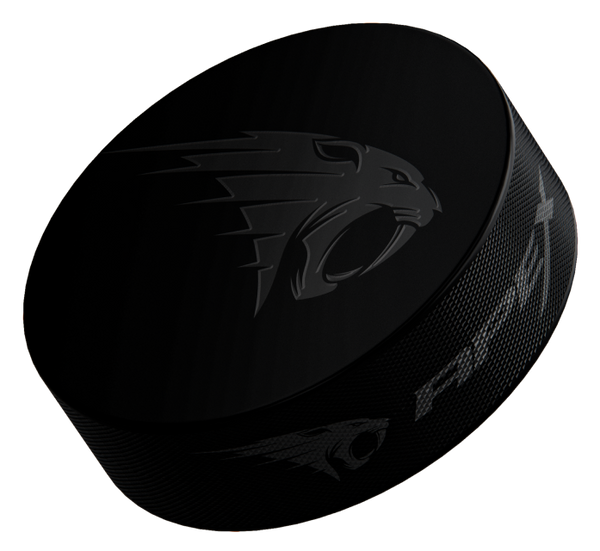 Apex Pro Hockey Pucks – APEX Pro Pucks