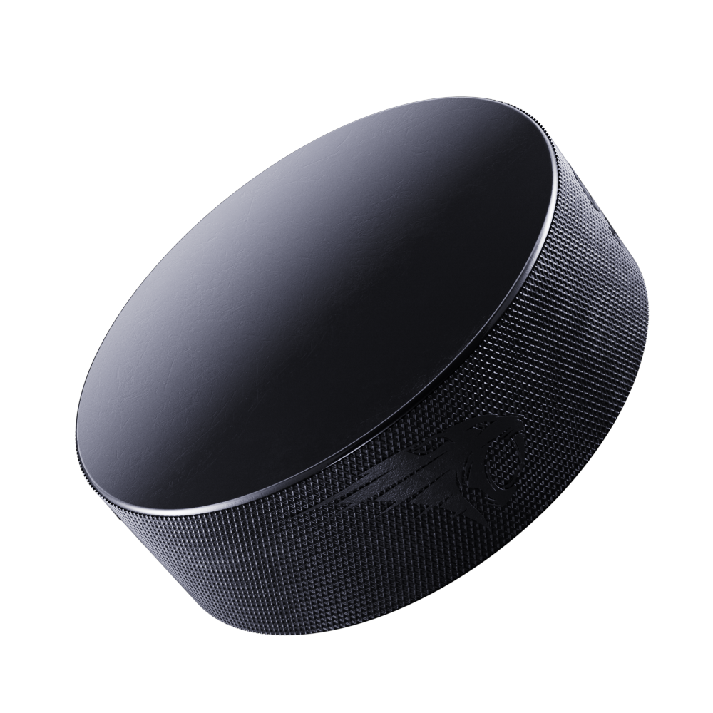 APEX Ice Hockey Game Pucks – APEX Pro Pucks